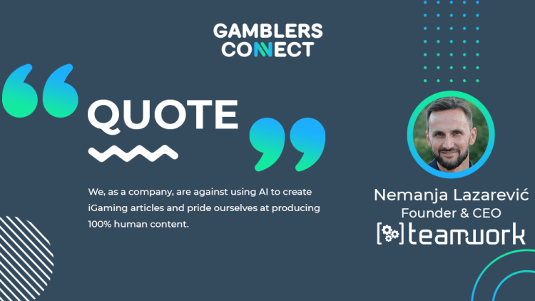 Nemanja Lazarevic - Teamwork Interview